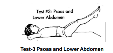 Test and Measurement in Sports (CH-6) Important Questions in English ...